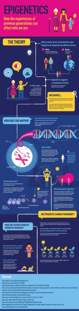 Epigenetics Explained - The Human Beauty Movement